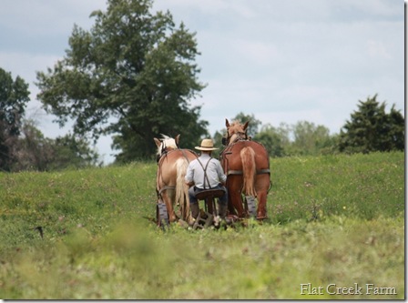 Flat Creek Farm: Welcome to Amish Country